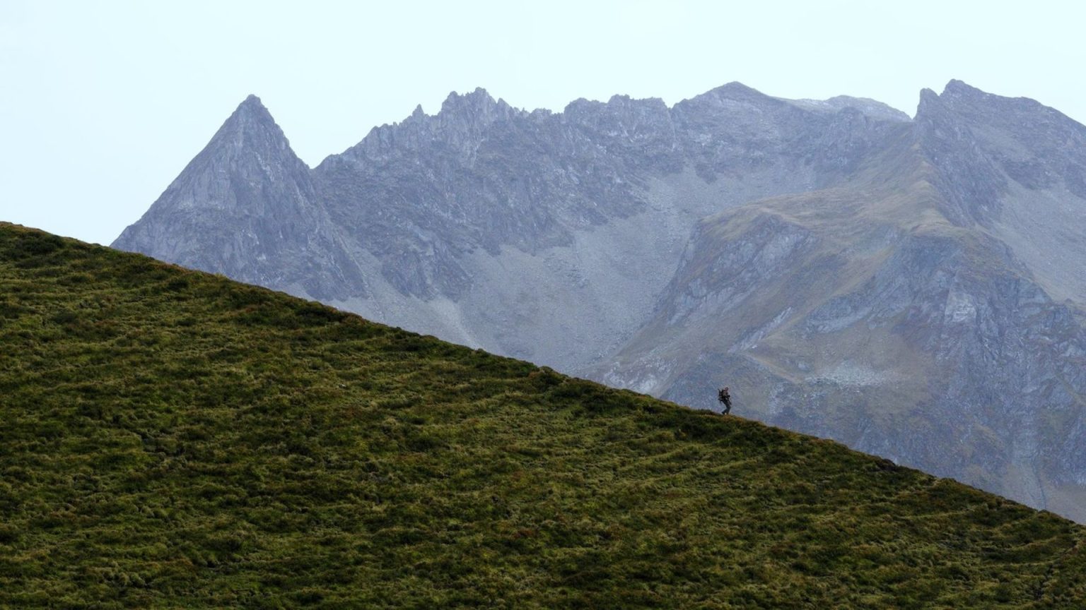 Steyr Arms USA | High-precision firearms since 1864