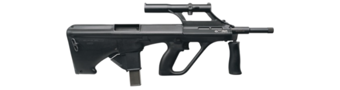 Academy | Steyr Arms USA