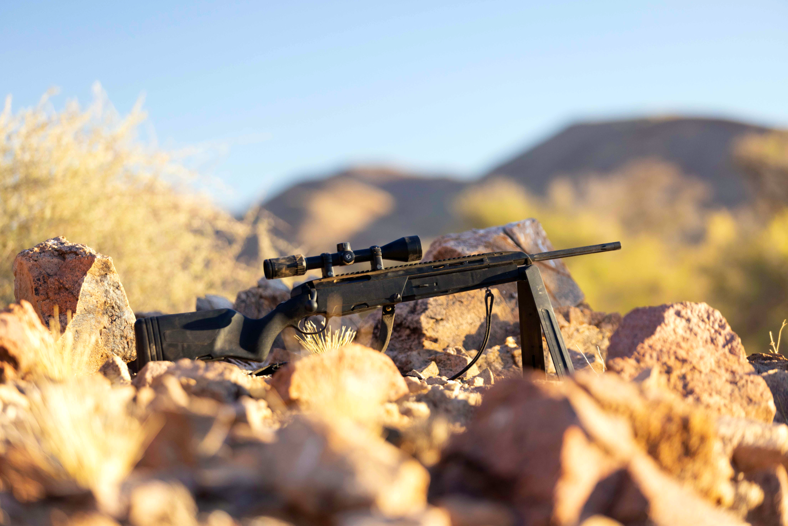 Scout | Steyr Arms USA